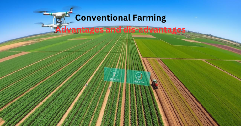 Conventional Farming: Advantages And Dis-Advaantages